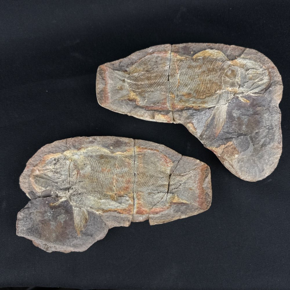 Productpage - Galerie Tjitra