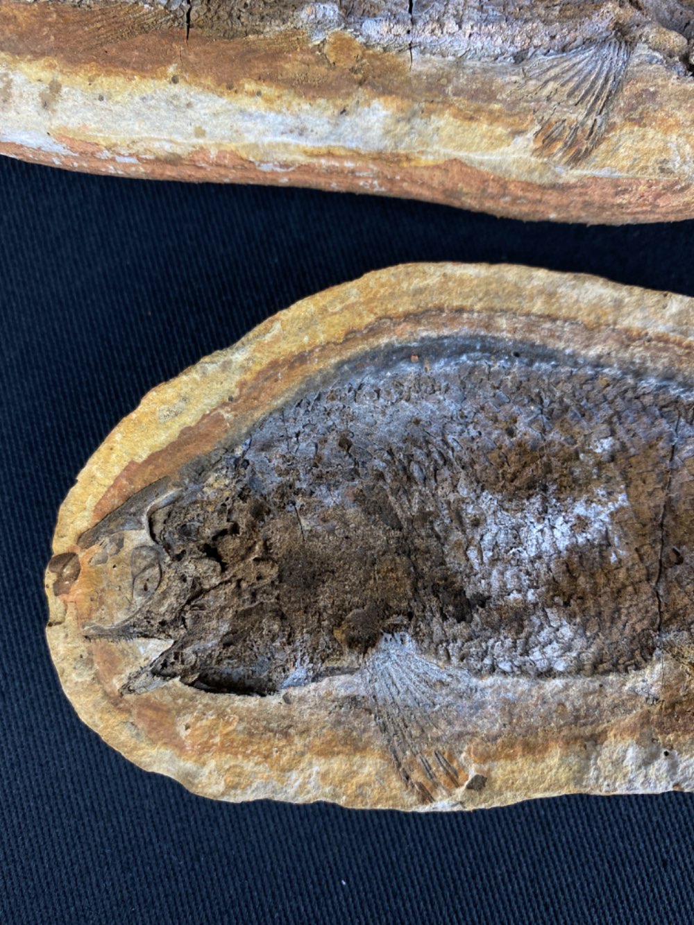 Productpage - Galerie Tjitra